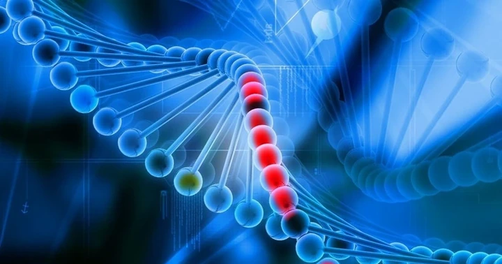 Gene di truyền là yếu tố chính quyết định tuổi thọ con người