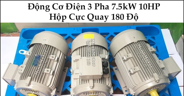 Hồng Phúc Motor - Địa chỉ cung cấp motor 10HP uy tín hàng đầu
