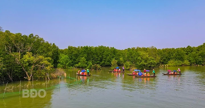 Ngao du đầm Thị Nại